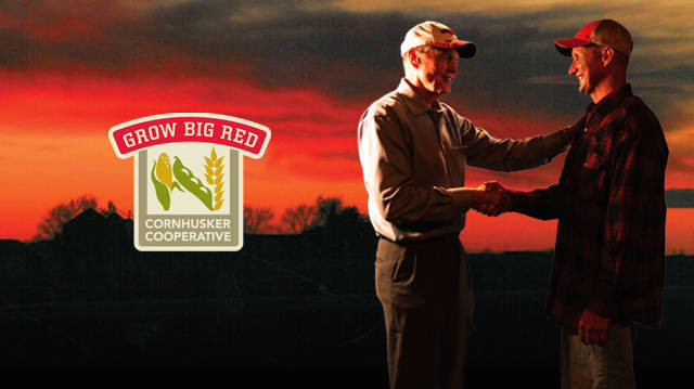 Like a Walk-On?s Journey, ?Grow Big Red? Will Develop into Something ...