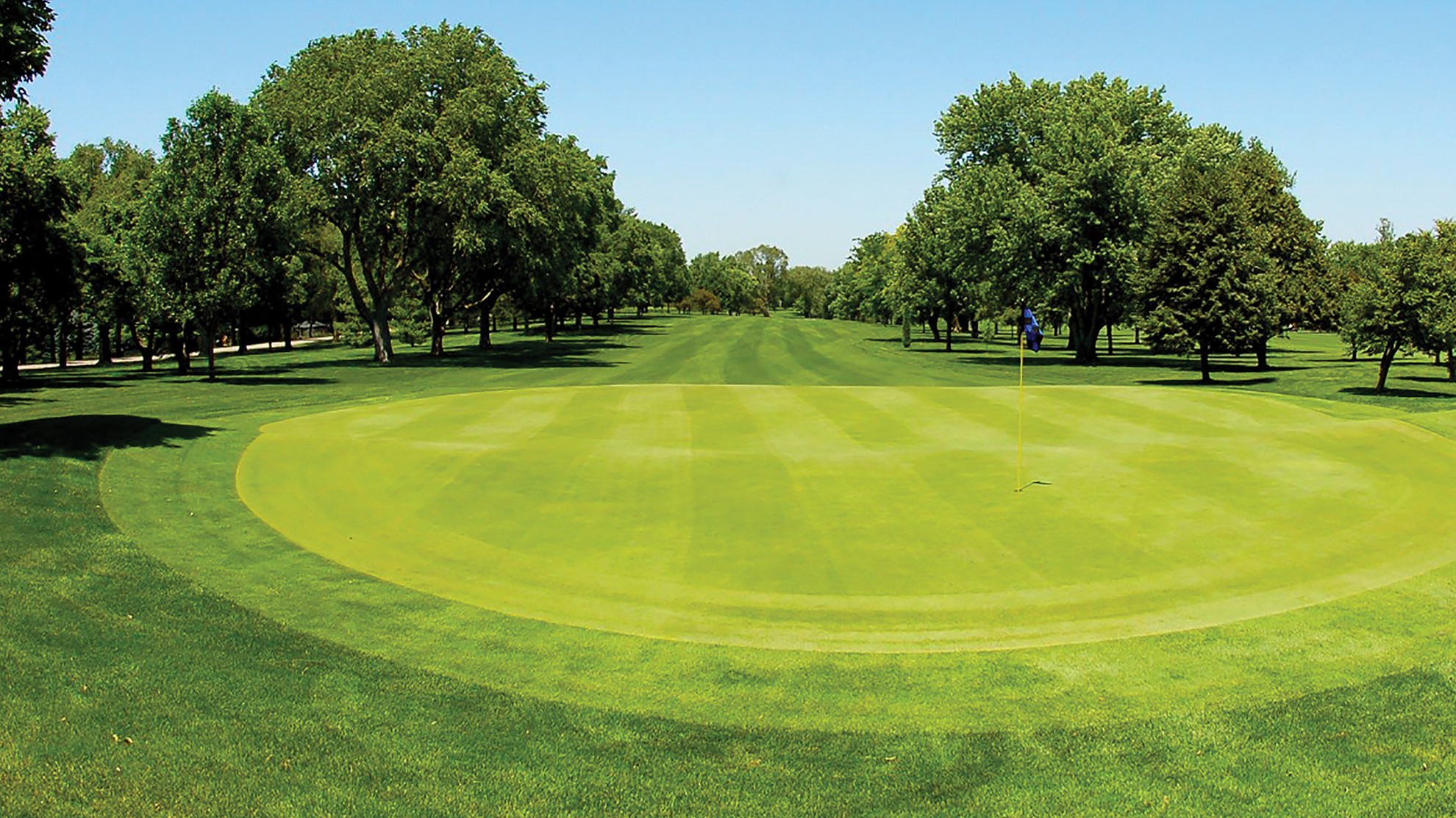 Women's Golf 1981-82 - University of Nebraska - Official Athletics Website